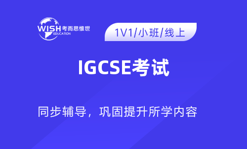 Igcse课程辅导 Igcse补课机构 考而思•惟世